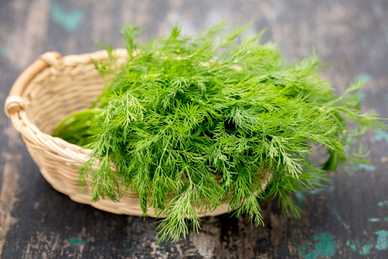 Aneto - Gustour Conad